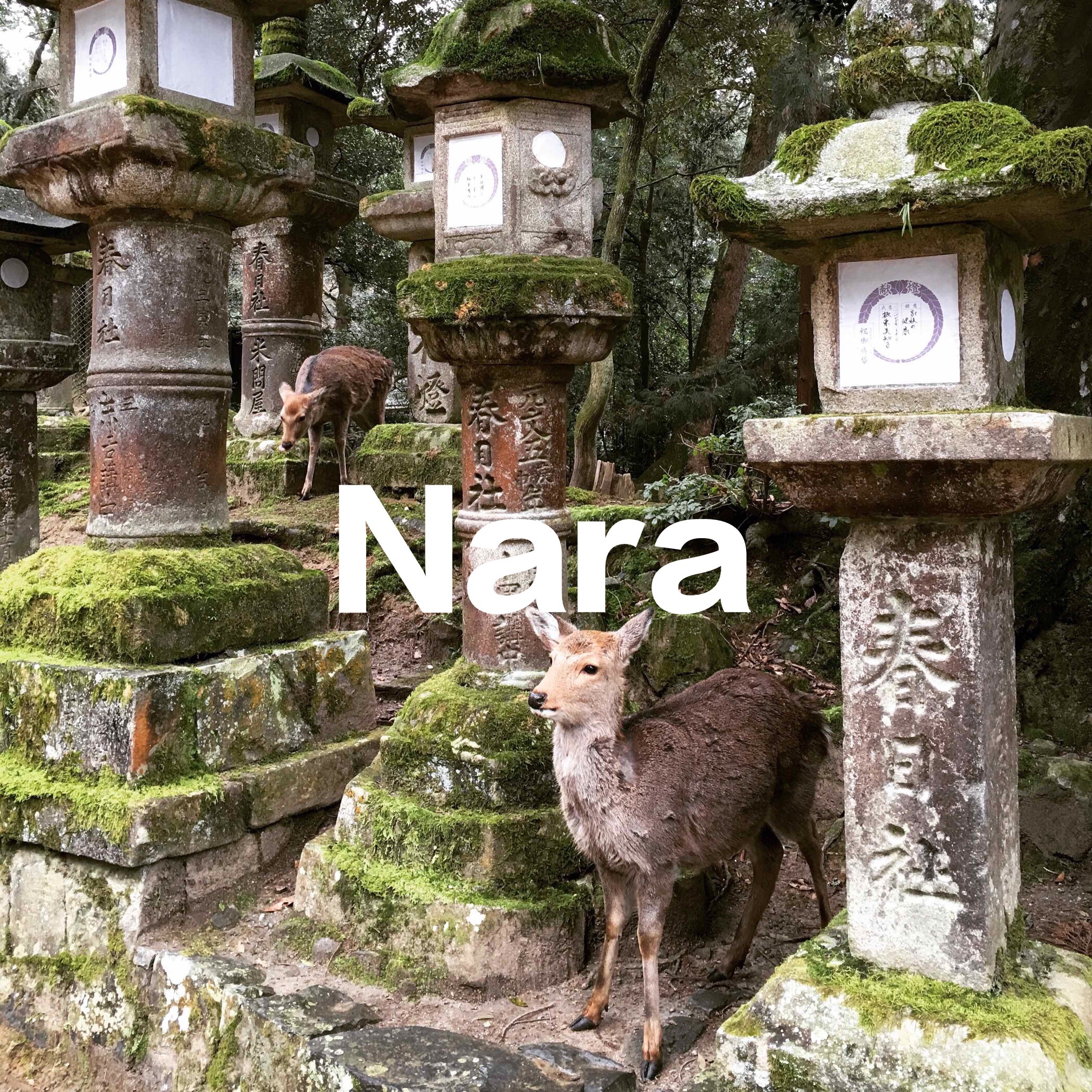 时光机 – yuqian-space